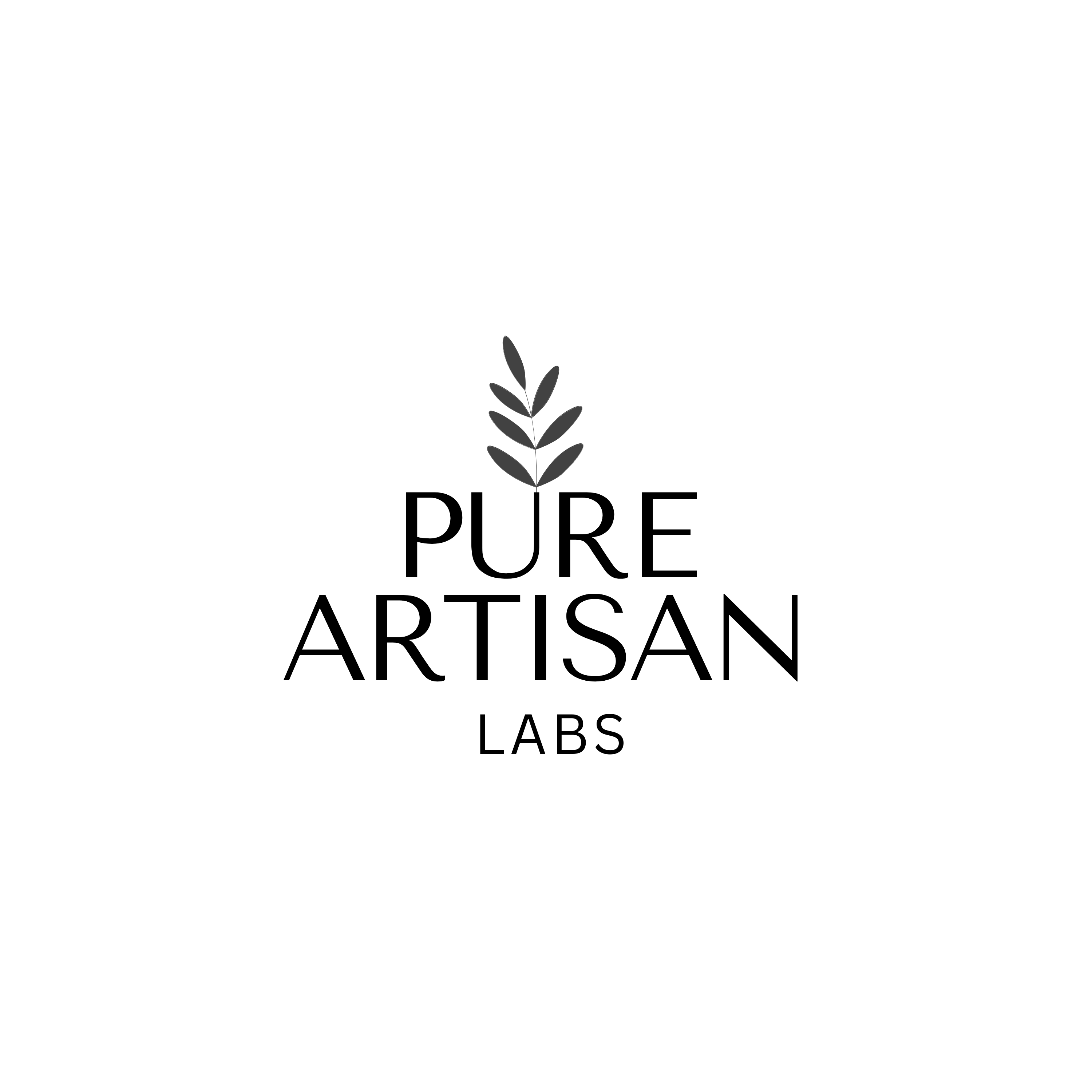 Clean Skincare & Artisan Beauty Products | Pure Artisan Labs